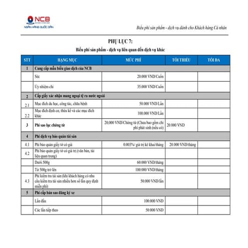 Ncb dich vu khac | PDF