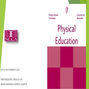 Physical Education and Sports in Dubai's Elementary Schools: Promoting ...