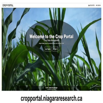 Precision Management - Nicole Rabe & Sarah Lepp | PPT