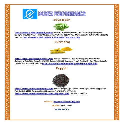 , NCDEX POSITIONAL TIPS | PDF
