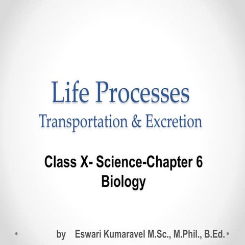 Life Processes Class 10th PPT | PPTX