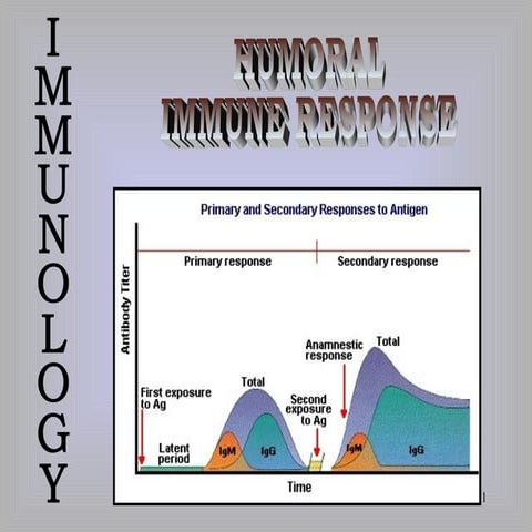 Immunology: Humoral Immune Response | PPT