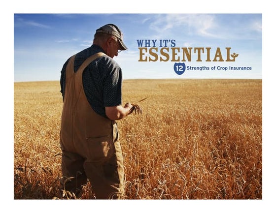 Crop insurance. presentation by gourav kumar vani pptx | PPT