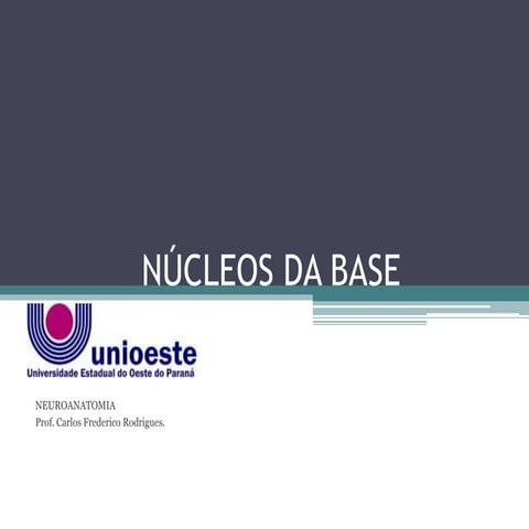NÚCLEOS DA BASE- ANATOMIA DO CORPO HUMANO | PDF