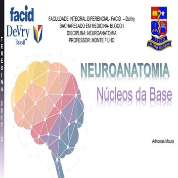 Núcleos da base | PPTX | Brain and Nervous System Disorders | Diseases ...