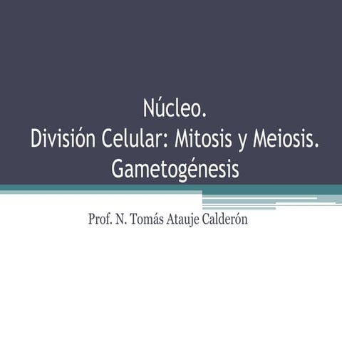 Núcleo y división celular | PDF