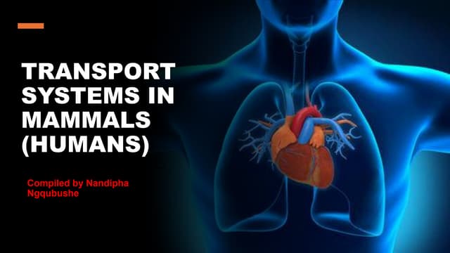 Open and close circulatory systems and examples | PPTX