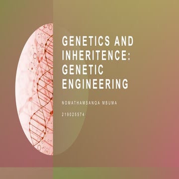 Genetic Engineering. PPT guide for senior high | PPTX