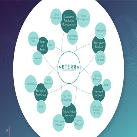Neterra corporate services presentation | PDF