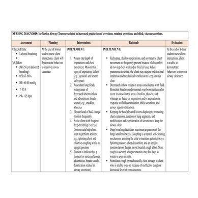 Impaired Gas Exchange Nursing Care Plan | PDF