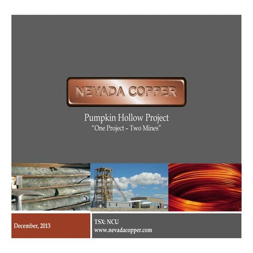 Nevada Copper | PDF