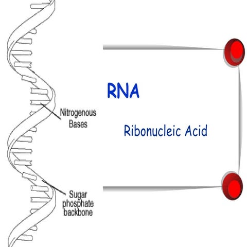 Ncvps lesson 1 module 8 what is rna -1 | PPT