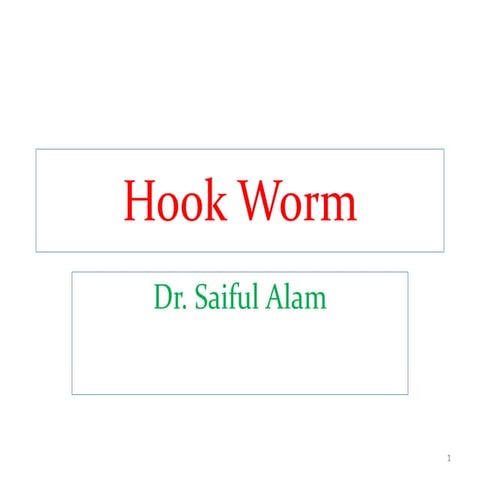 Parasitology: Hook worm and Stronglyoides stercoralis | PDF