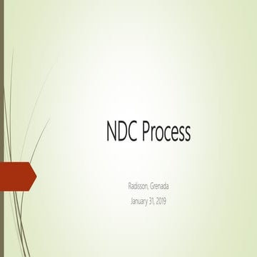 NDC Process | PPTX