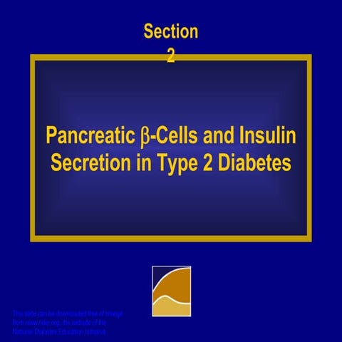 Ndei Beta Cell Slide Kit Insulin Secretion | PPT