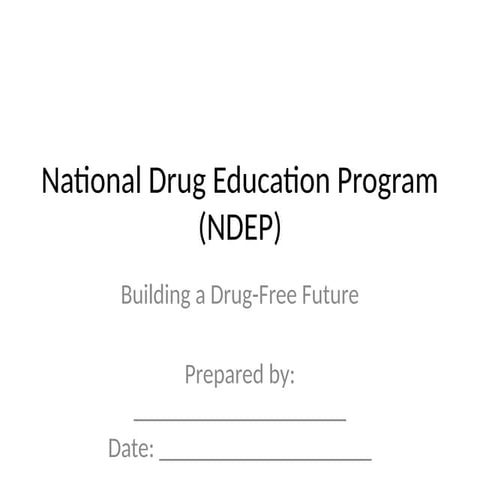 ndep presentation | PPTX