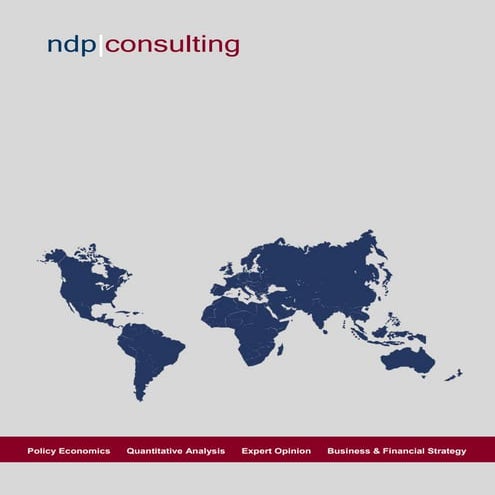 NDP Consulting Information Book | PDF