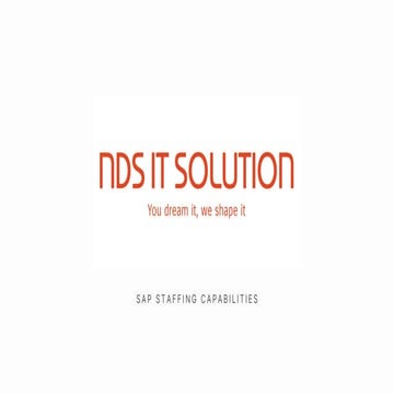 NDS IT Solution - Presentation for clients | PDF