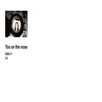 Hu-Di_worksample_too on the nose installation | PDF