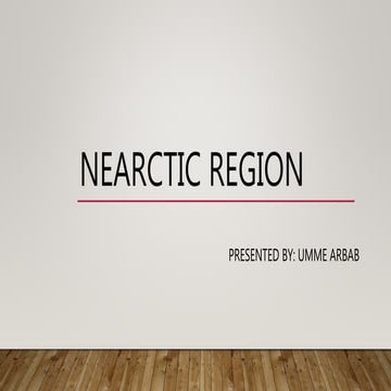 Nearctic region rabi cheema.pptx