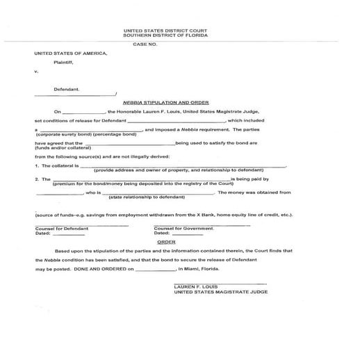Nebbia Stipulation and Order.pdf