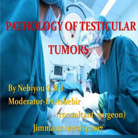 Pathology of testis | PPT
