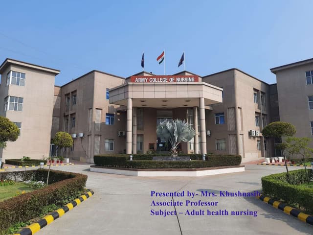 Nebulization procedure | PPTX