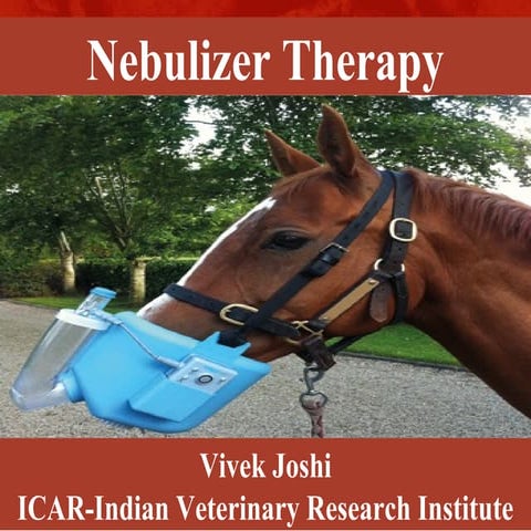 Nebulizer therapy animals | PPT