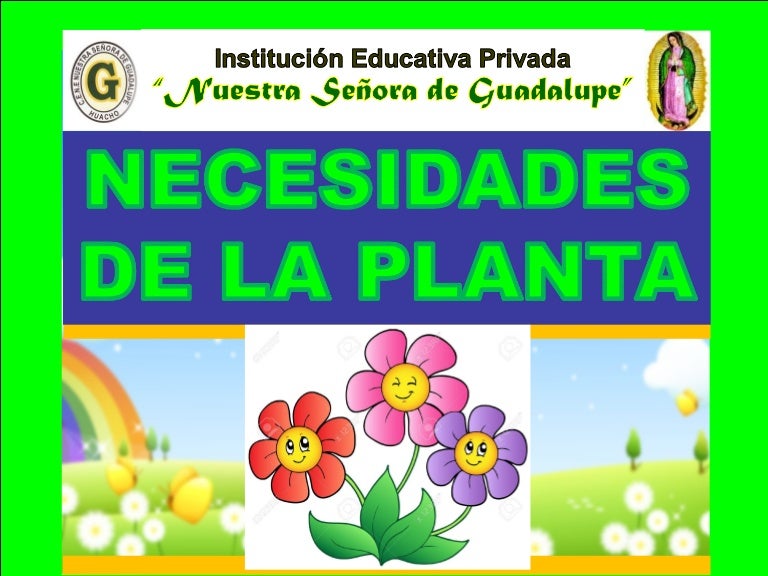 Necesidades de la planta