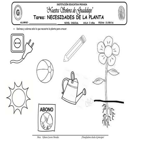 Necesidades de la planta 2 | PDF