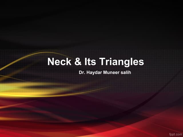 Anatomy of submental and submandibular triangles | PPTX
