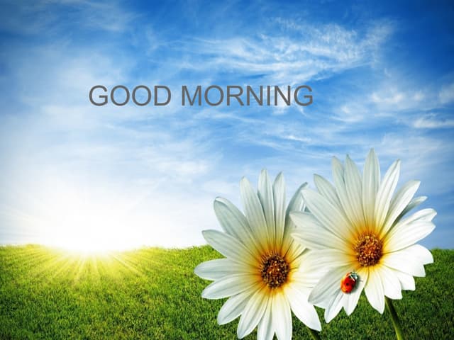 Anatomy of sellar suprasellar region | PPTX