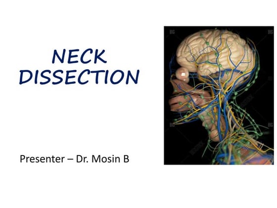 Levels of lymph nodes in head and neck | PPT