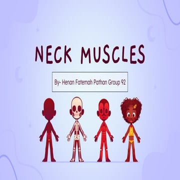 Neck Muscles | PPTX