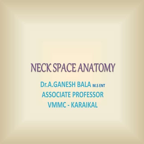 Neck space anatomy | PPTX