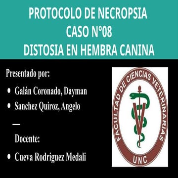 Necropsia | PPTX