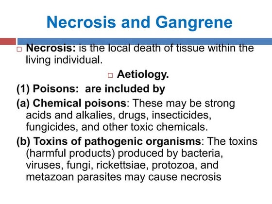 Forensic medicene,putrefaction | PPTX