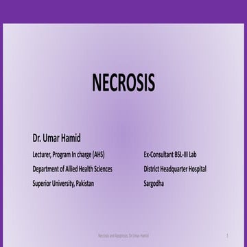 Necrosis Tutorial