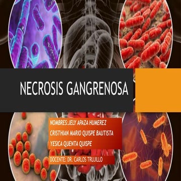 NECROSIS GANGRENOSA.pptx