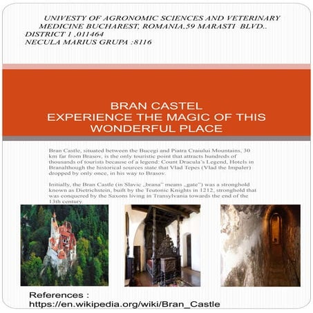 Necula marius 8116 | PPTX