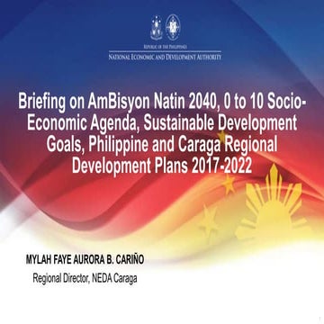 NEDA -Edited Briefing on PDP_RDP 8817.ppt