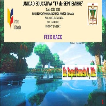 Nee . feed back t 29 june | PPTX