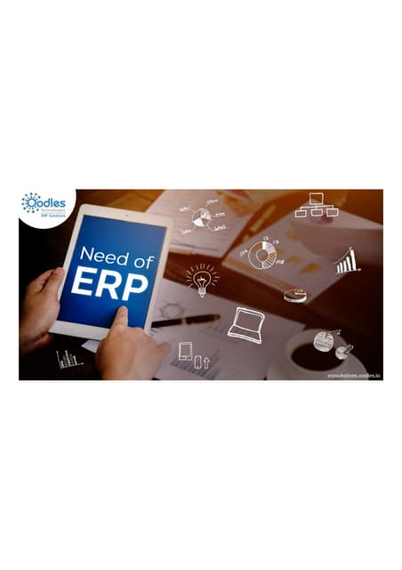 Erp accounting-software | PDF