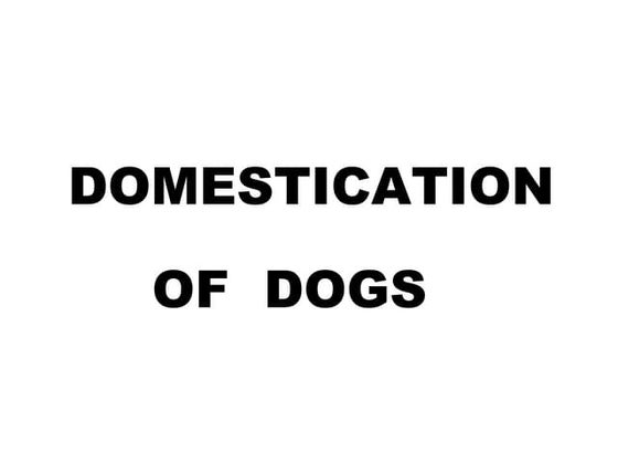 Habitat of the dog family | PPT