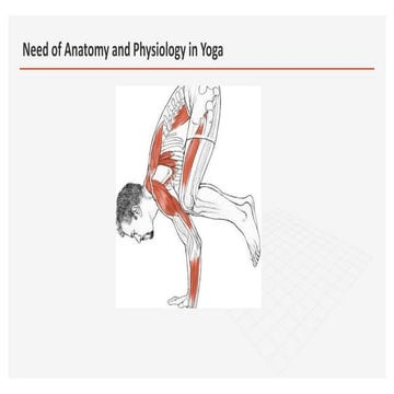Need of Anatomy and Physiology in Yoga. | PPTX