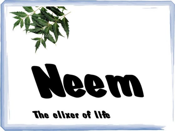 Neem | PPTX