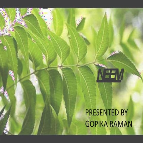 neem-170219180411.pptx