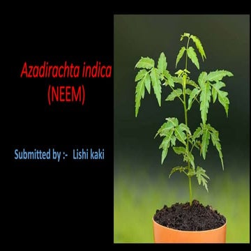 Neem and its cultivation and active constituents or phyto chemicals. | PPTX