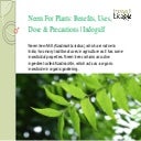 Find Out The Benefits Of Neem For Plant Protection - Indogulf | PPTX