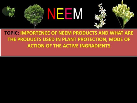 Neem | PPTX
